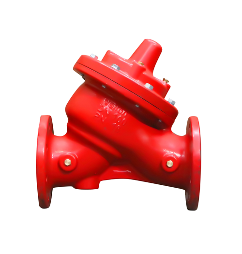 ERDURO - Fluid Solutions - Y-LCV Lift Type Check Valves